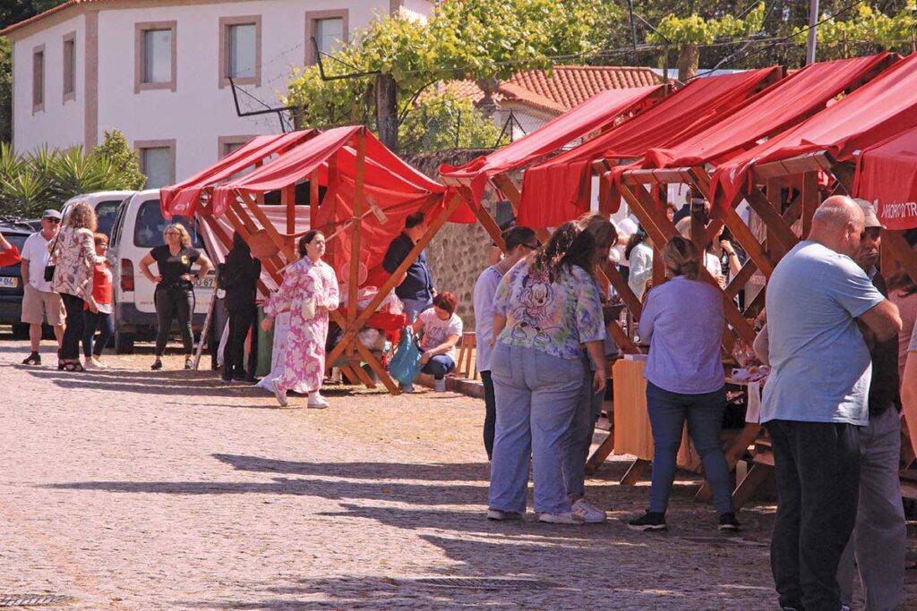 Festa de Rua voltou ao Muro | TrofaTv